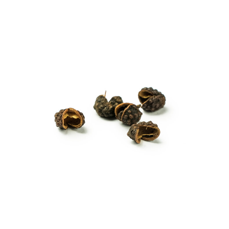 Timut sečuanski poper - v zrnju - Pödör